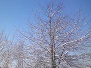 Visual Art at the heart of Shropshire, Telford and Wrekin | Visual Art ...